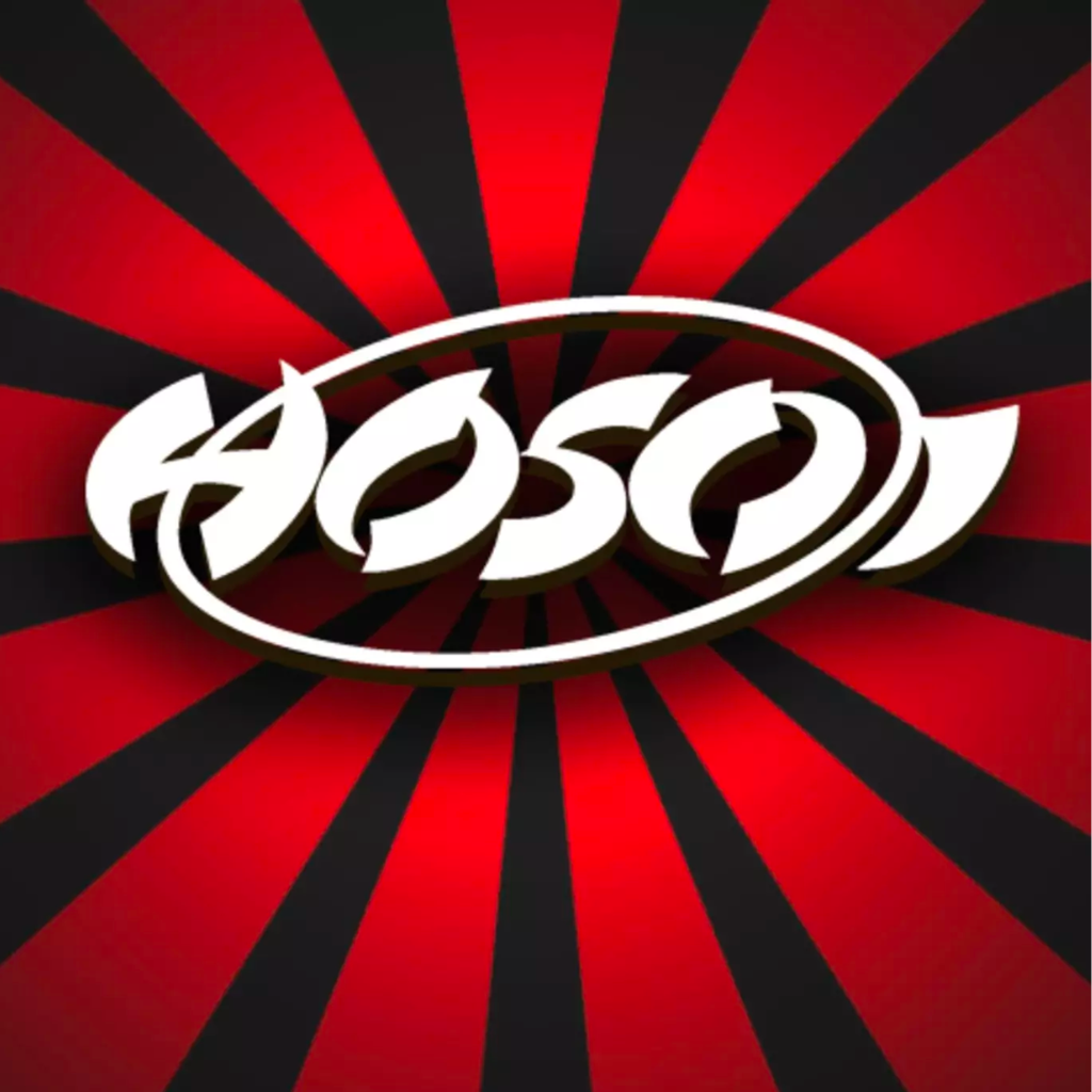 Hosoi Skateboards – Skate Warehouse